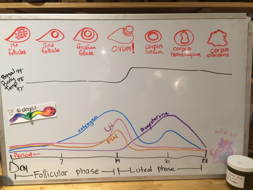 A Full-Spectrum Fertility Chart - Lavandoula